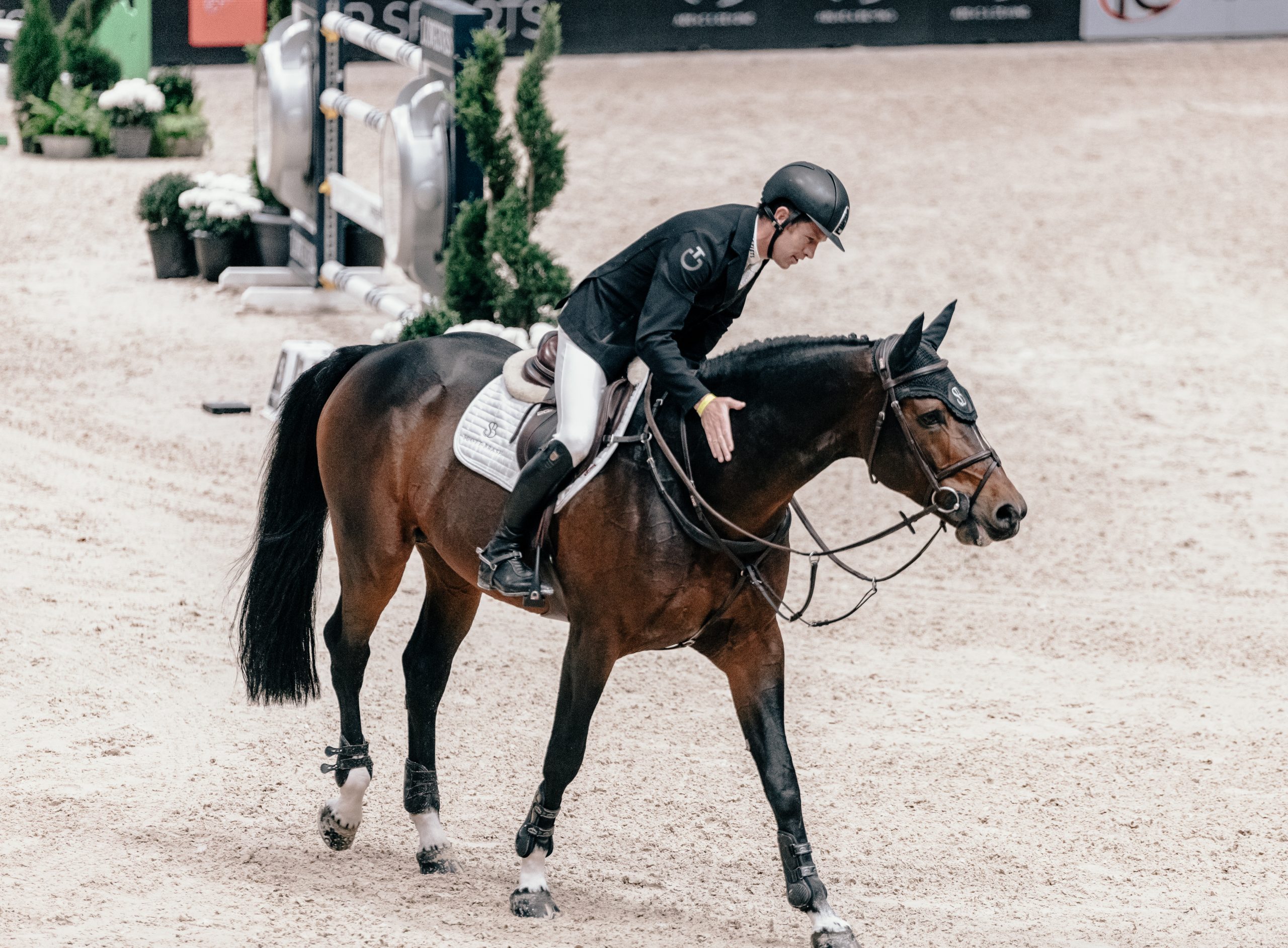 Changement de carrière pour Hello Vincent – Info Jumping